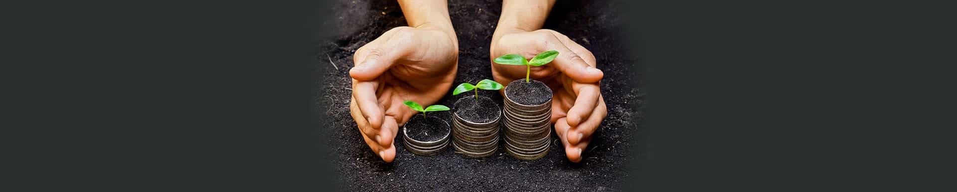 Economic Principles: 10 Basics To Know | UoPeople