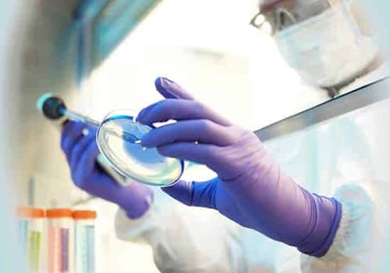 Tips for Students Archives | Page 10 of 39 | University of the People