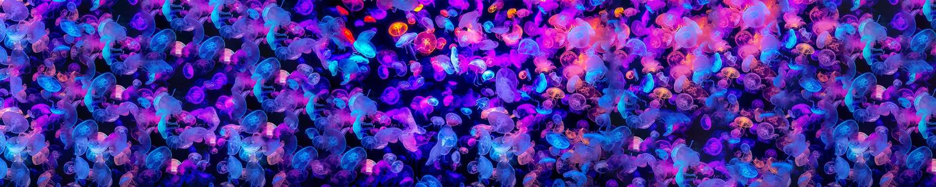 What Is Natural Science? 5 Definitions | University of the People