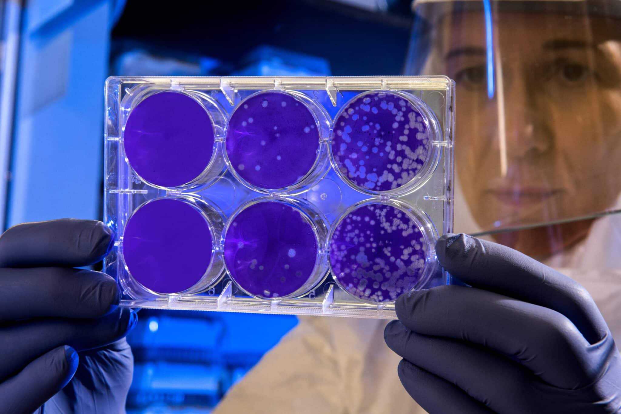 What Can You Do with a Health Science Degree? A Lot Indeed!