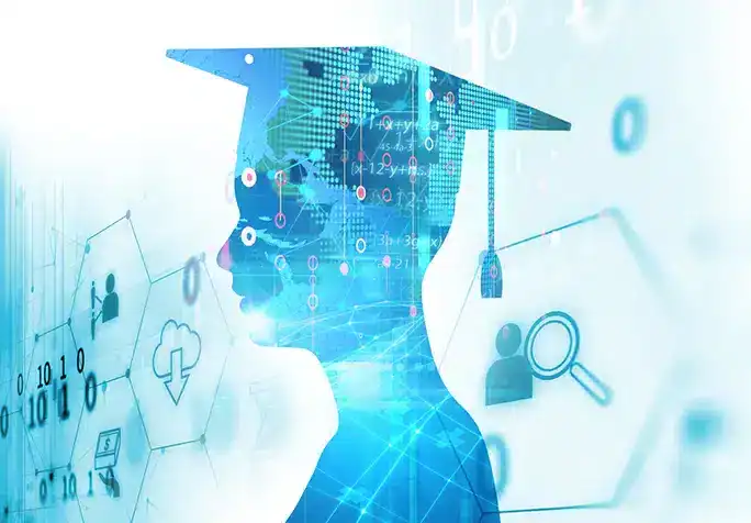 What is an Undergraduate Degree? What's Comes Next?