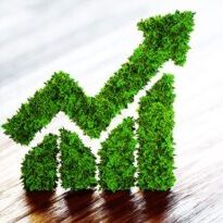 Triple Bottom Line - A Simple Explanation