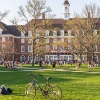 Best Colleges for Learning Teaching Out There! - UoPeople